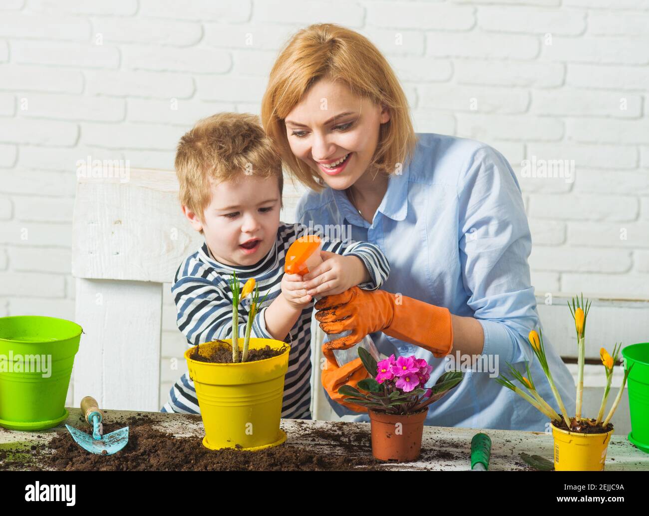 Family planting. Mother and son grow flowers. Child and mother spraying ...