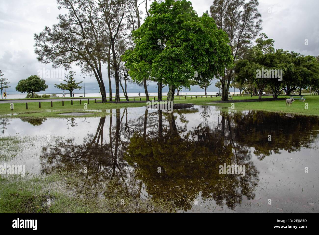 Flooding in a park cause by heavy rain. Ex -tropical cyclone Uesi hits ...