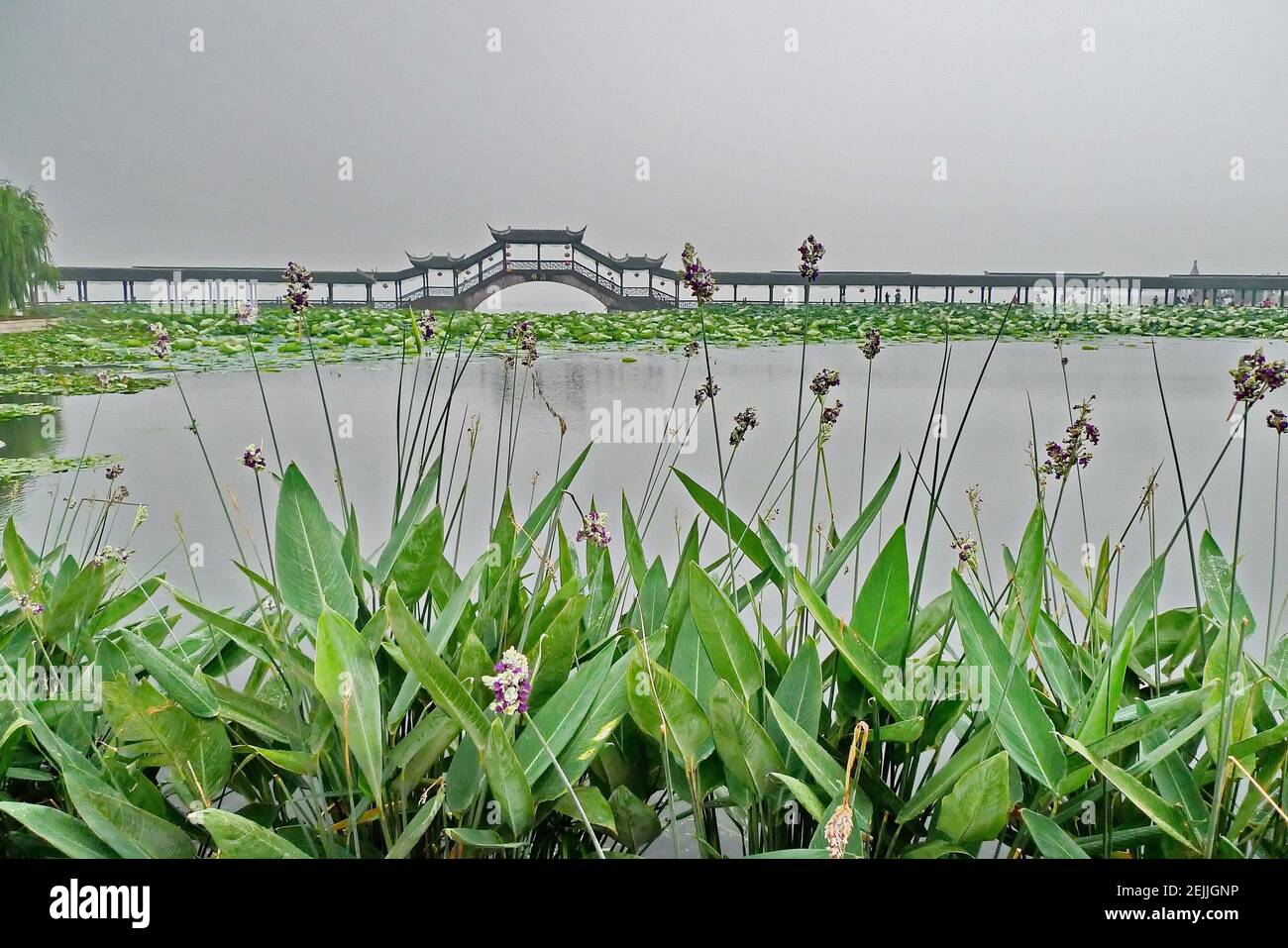 Jiangsuï¼ŒCHINA-In jinxi ancient town, kunshan city, Jiangsu province ...