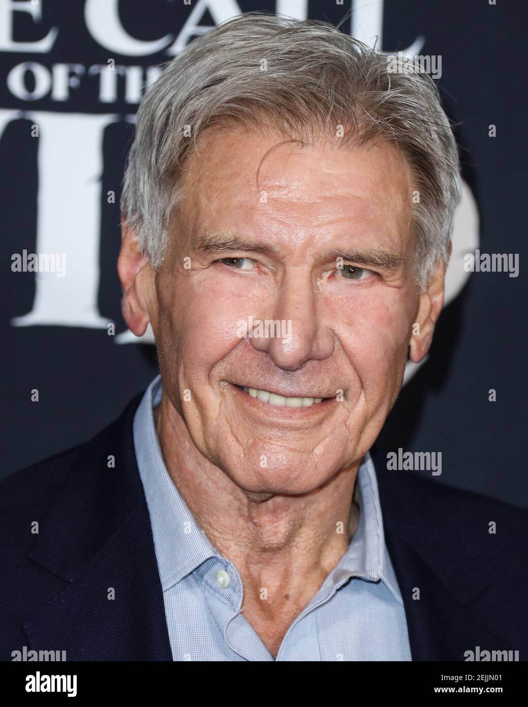 HOLLYWOOD, LOS ANGELES, CALIFORNIA, USA - FEBRUARY 13: Actor Harrison ...
