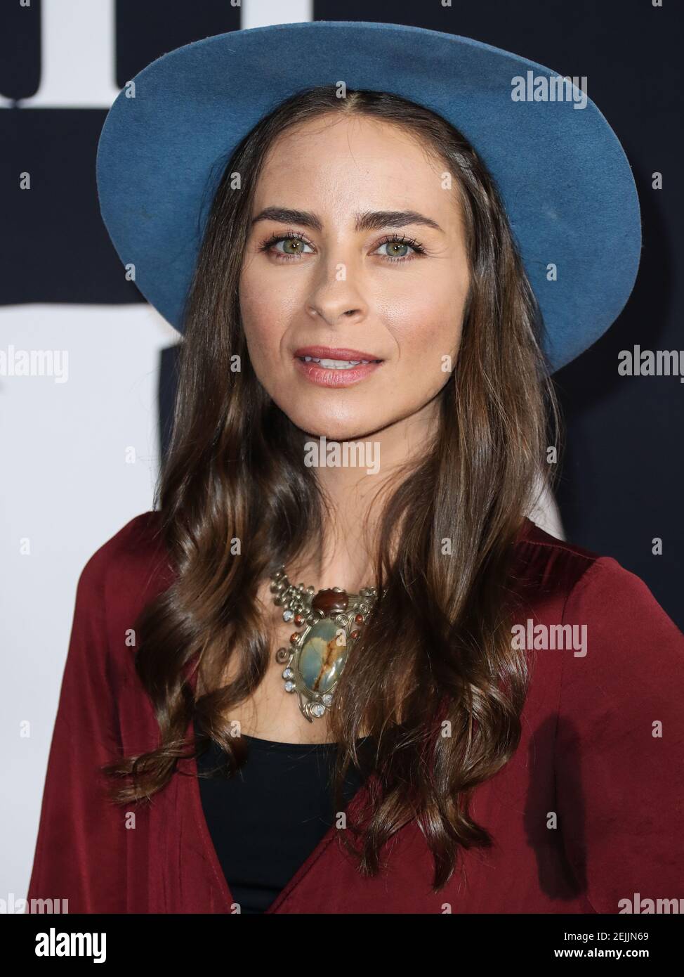 HOLLYWOOD, LOS ANGELES, CALIFORNIA, USA - FEBRUARY 13: Diana Carr ...