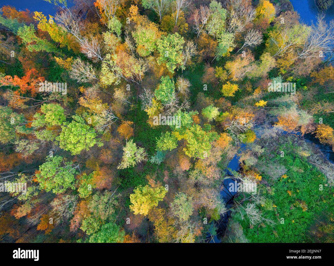 Czech lowland hi-res stock photography and images - Alamy