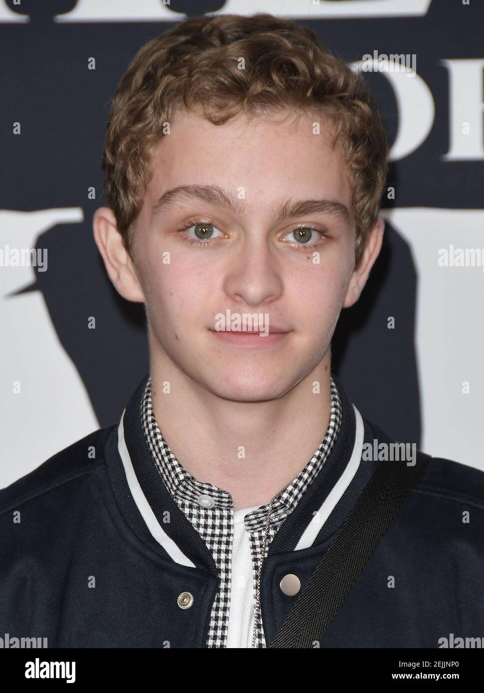 Gavin Lewis arrives at the 20th Century Studios' THE CALL OF THE WILD ...