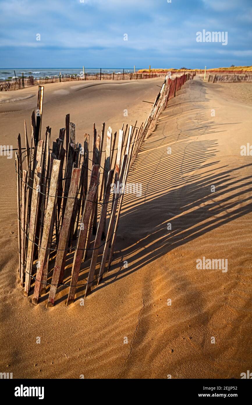 Snow fence with shadows along wind drifted sand near the Ludington ...