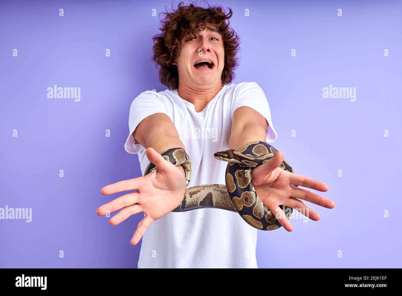 snake tied man's hands. man stand crying by fear, thinks how to get ...