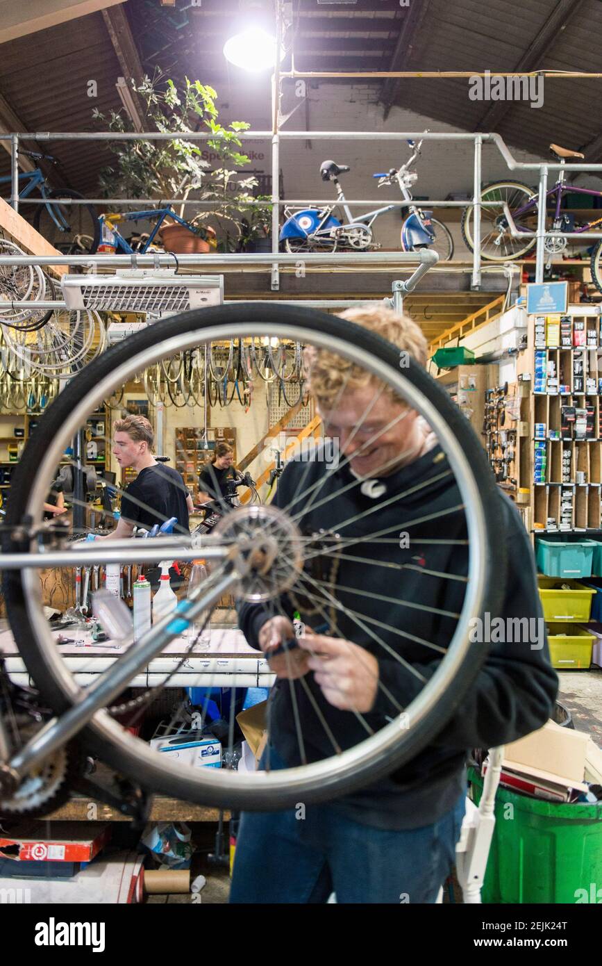 A bike mechanic works on the wheels of a bike servicing them Stock ...