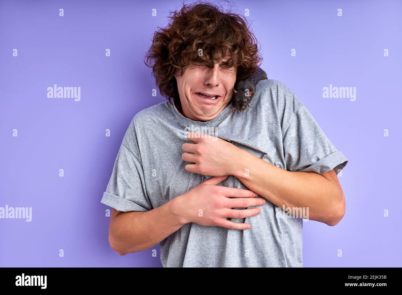 a curious gray rat crawling on a man's shoulders, scared and frightened ...