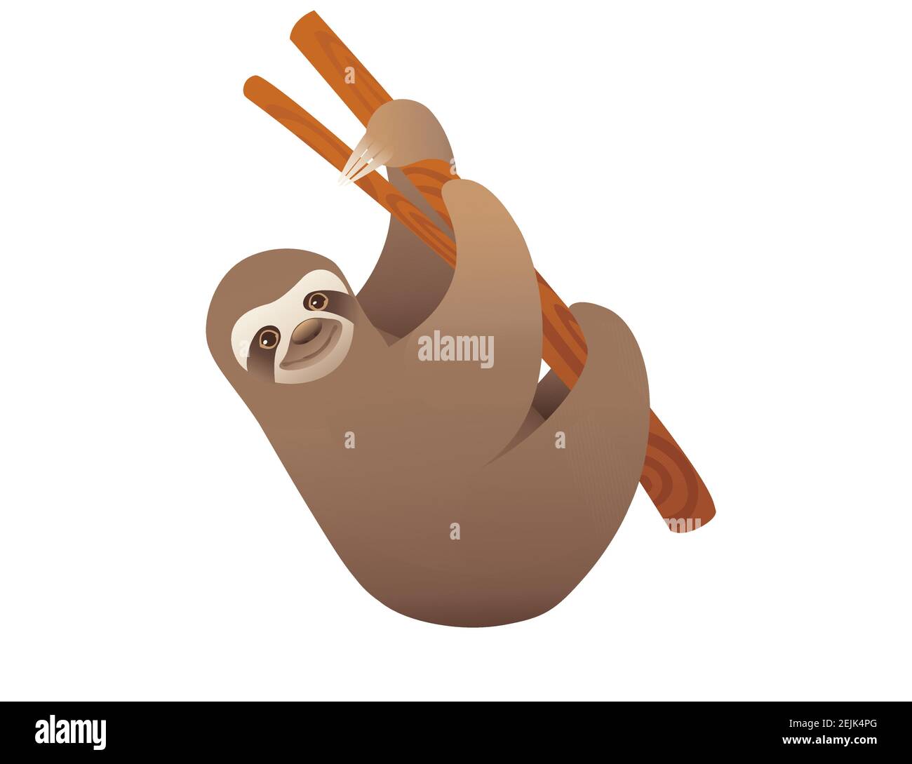 Cartoon animal hi-res stock photography and images - Alamy