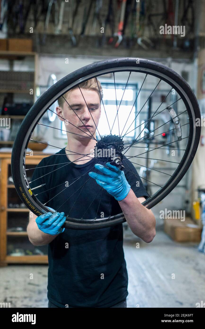 A bike mechanic works on the wheels of a bike servicing them Stock ...