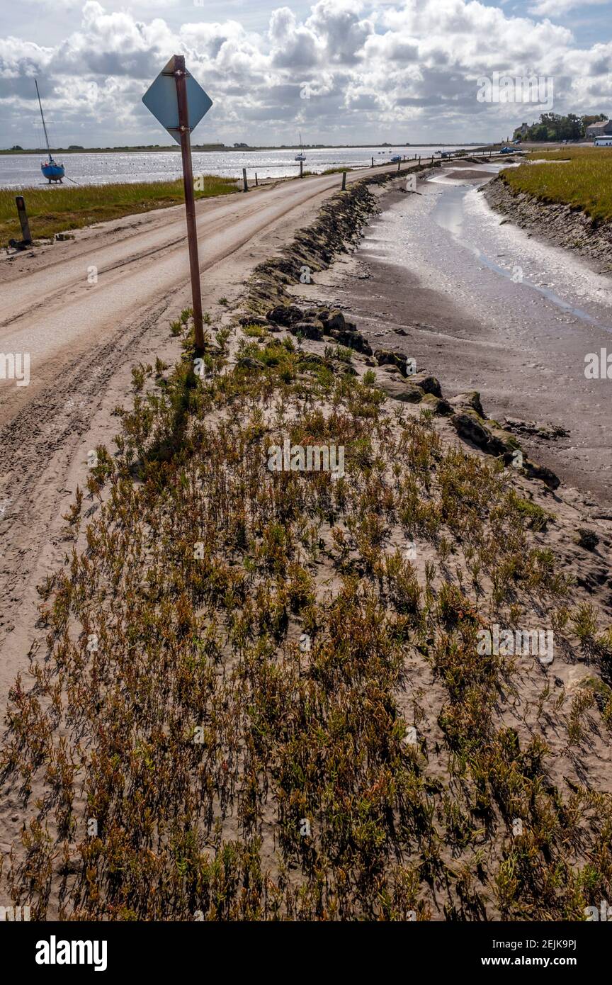 Passing place sign on the edge of the tidal road linking Sunderland ...