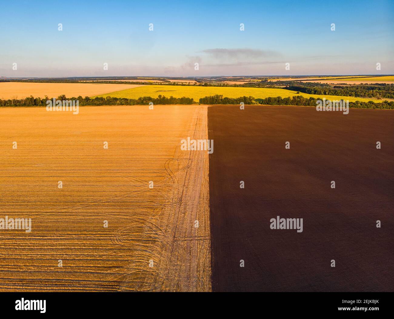 Aerial view corn sunflower fields hi-res stock photography and images ...
