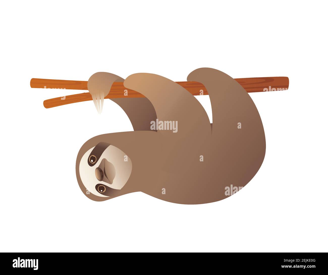 Sloth hanging on a branch cartoon animal design vector illustration on ...
