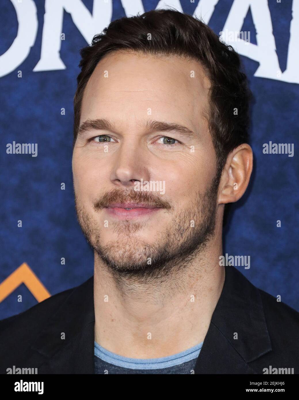 HOLLYWOOD, LOS ANGELES, CALIFORNIA, USA - FEBRUARY 18: Actor Chris ...