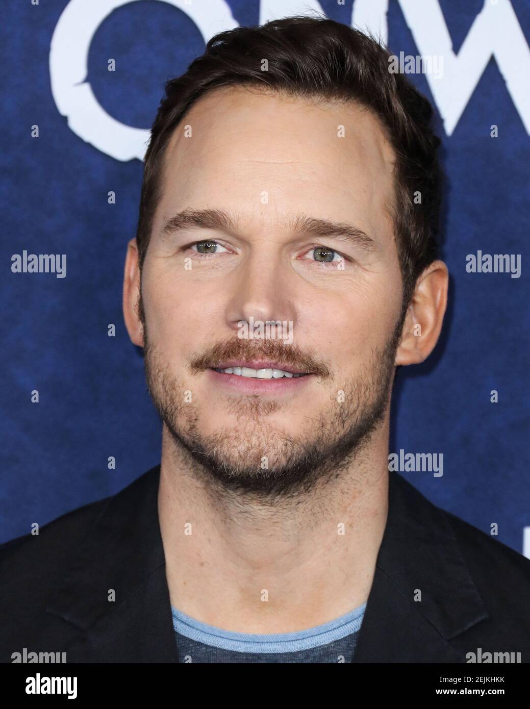 HOLLYWOOD, LOS ANGELES, CALIFORNIA, USA - FEBRUARY 18: Actor Chris ...