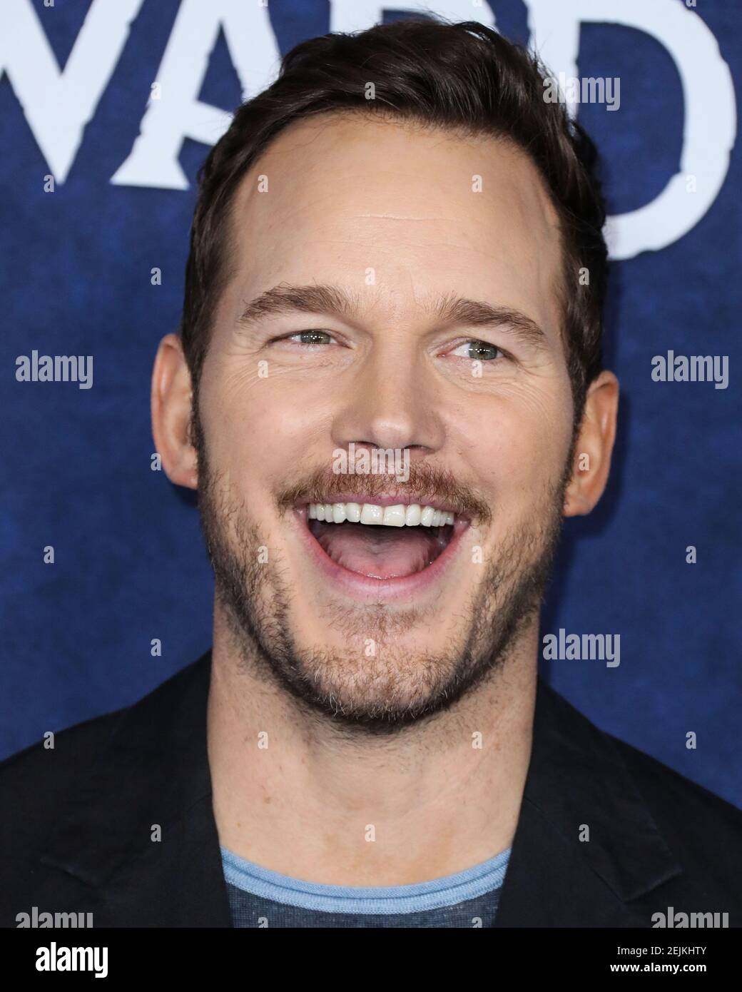 HOLLYWOOD, LOS ANGELES, CALIFORNIA, USA - FEBRUARY 18: Actor Chris ...