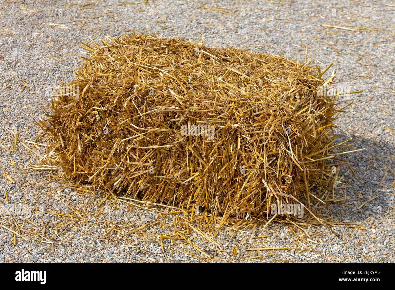 One Hay Straw Bale Animal Feed at Farm Stock Photo - Alamy