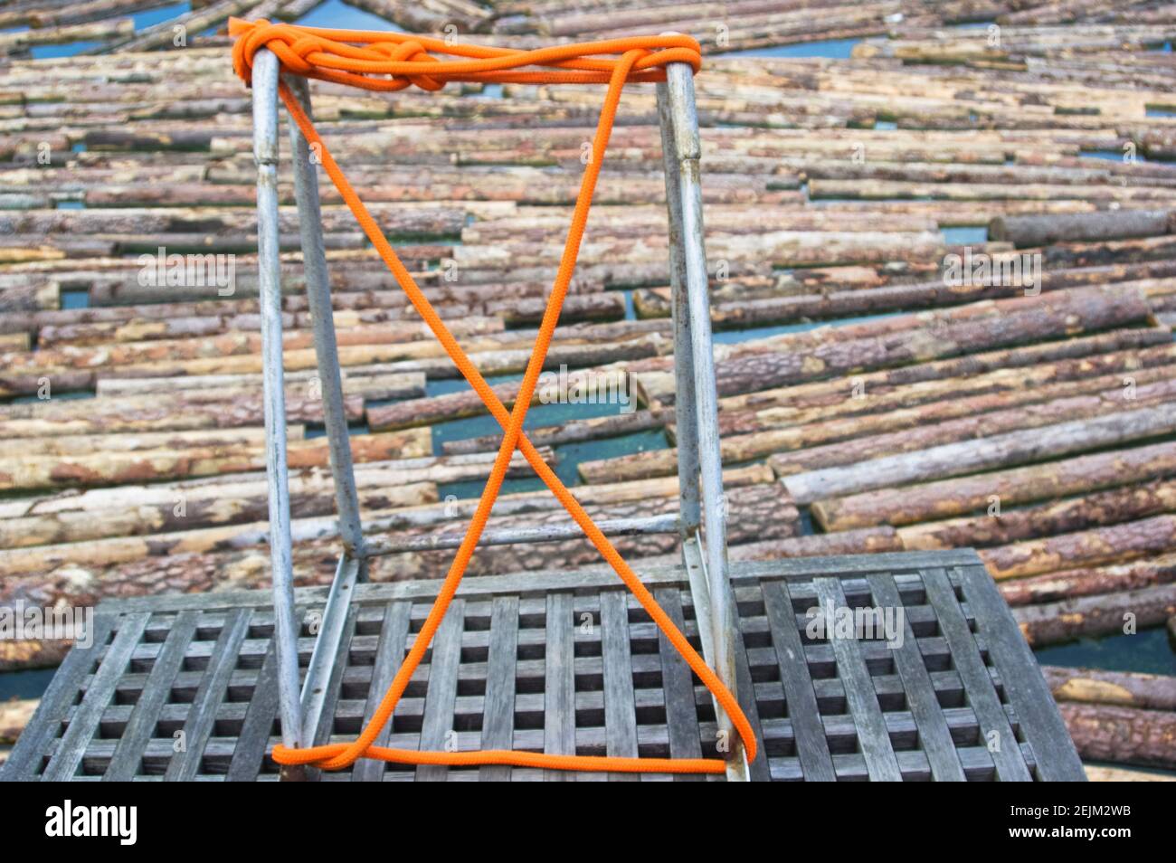 Logs are floating in the river Stock Photo - Alamy