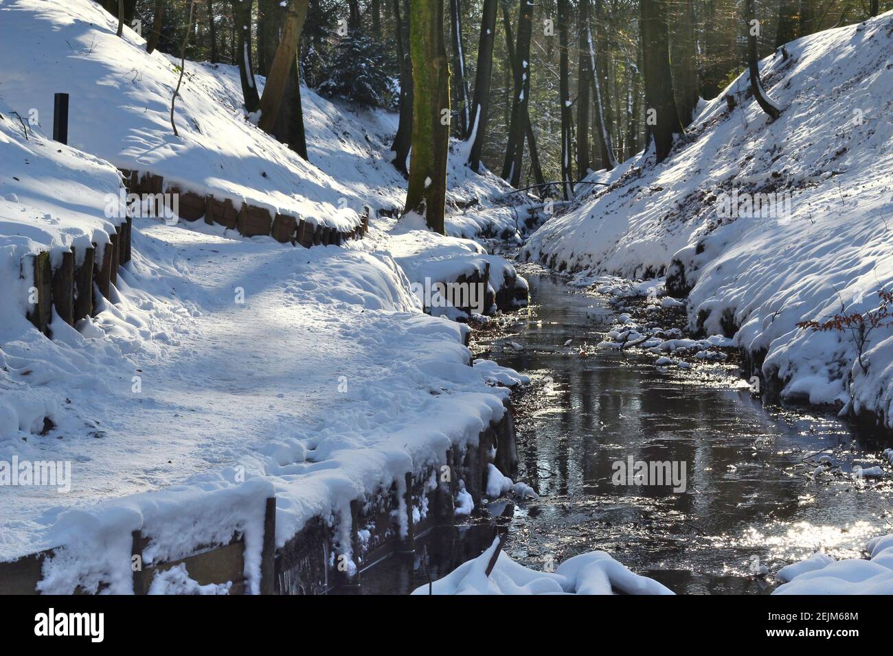 Brook in the forest hi-res stock photography and images - Alamy