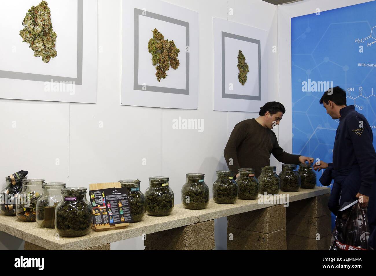 Dried Marijuana Rome February 21st 2020. Hemp Fair Canapa Mundi Rome ...
