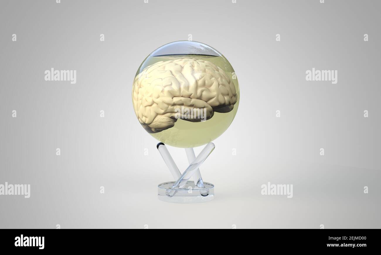 human brain inside a sphere - 3D rendering Stock Photo - Alamy