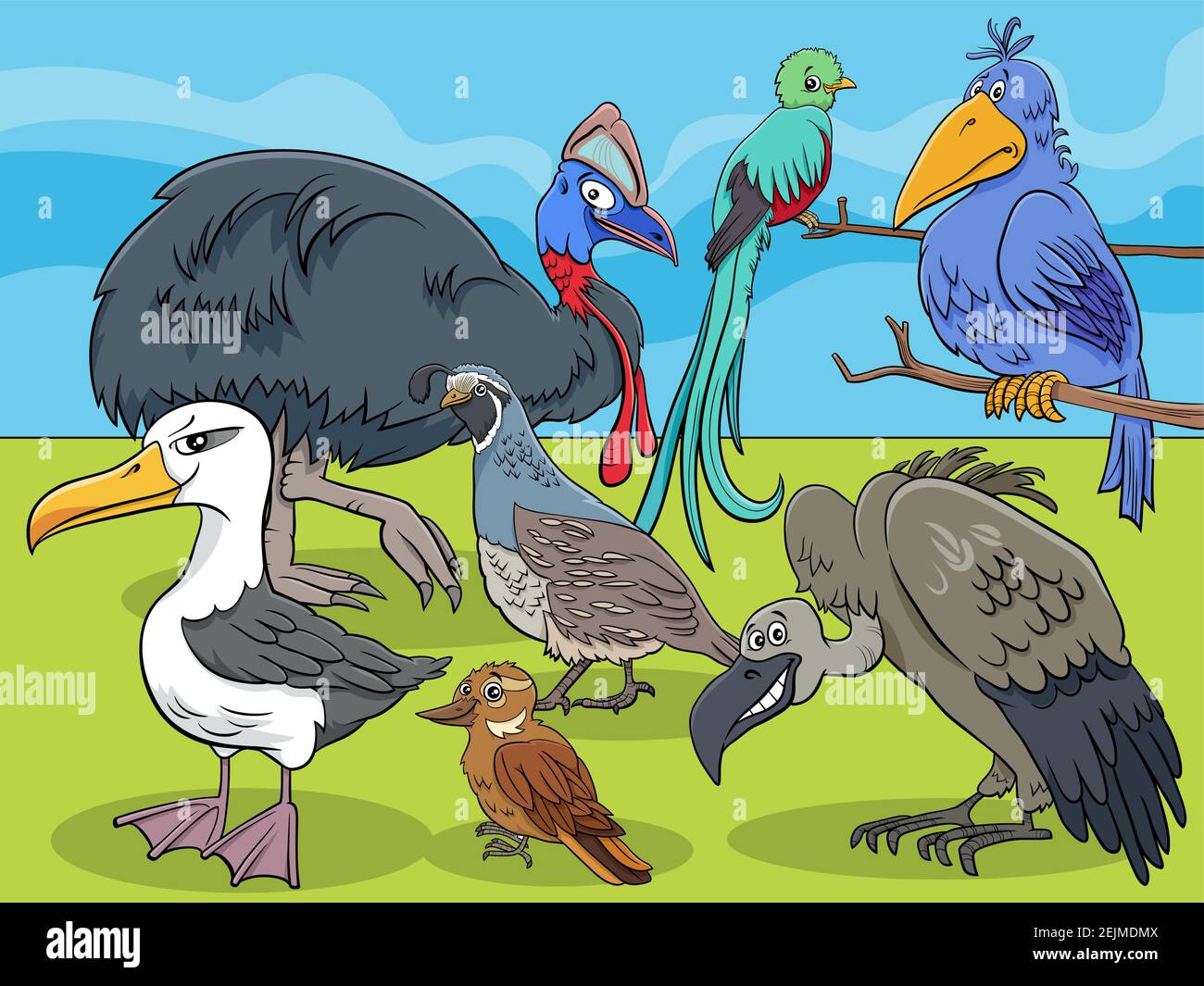 Cartoon illustration of funny birds animal comic characters group Stock ...