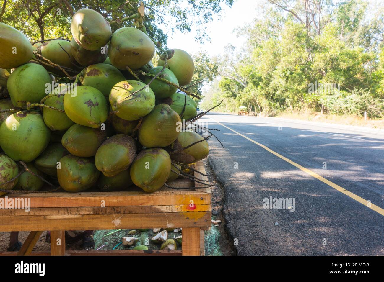 Tender coconut shop on roadside in Tamil Nadu, India Stock Photo - Alamy