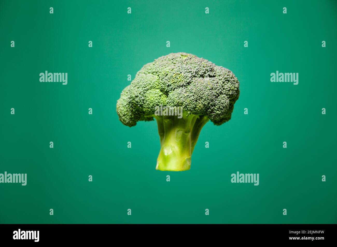 Fresh broccoli head hanging in green studio Stock Photo - Alamy