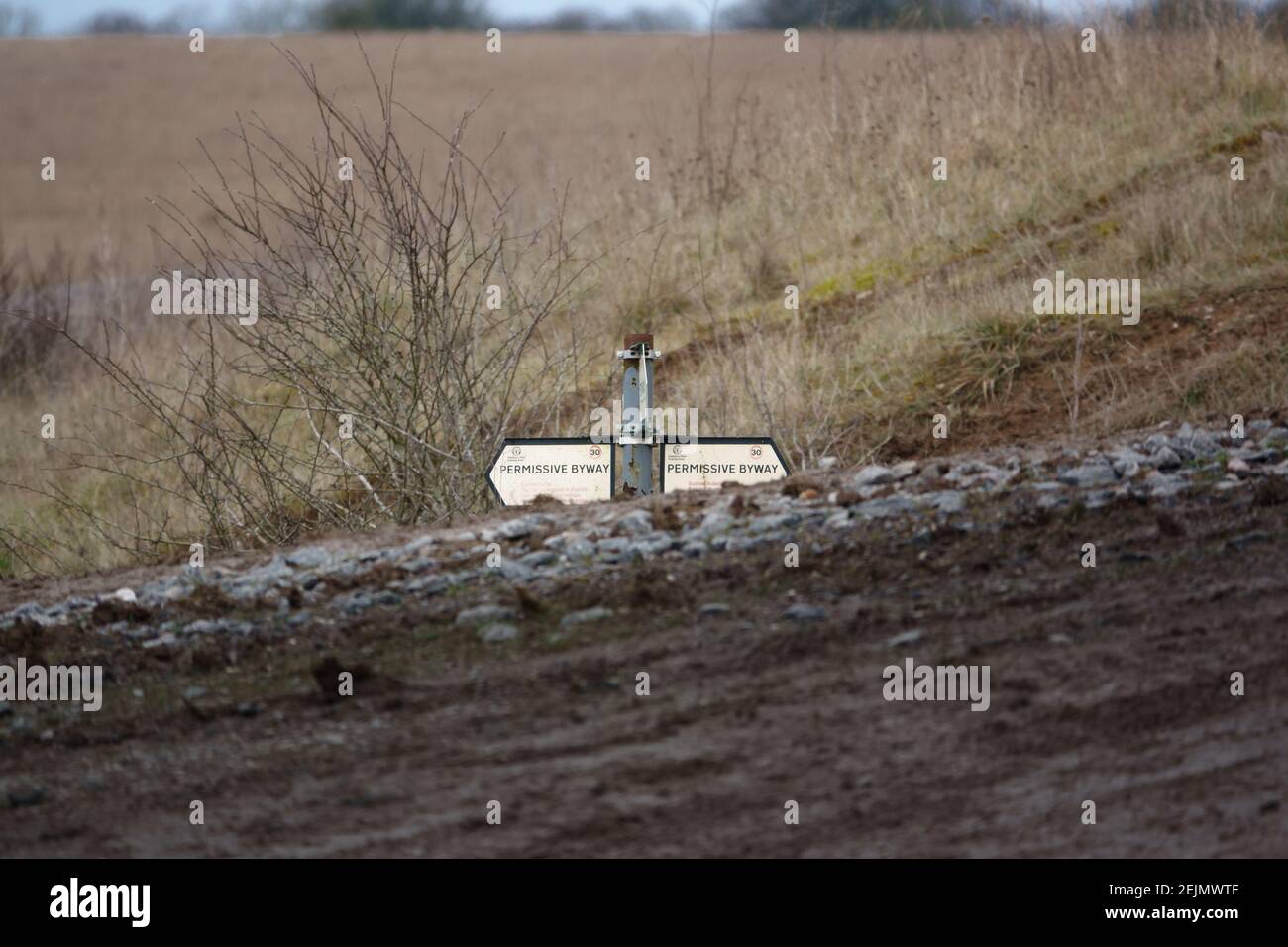 Cross road signs hi-res stock photography and images - Alamy