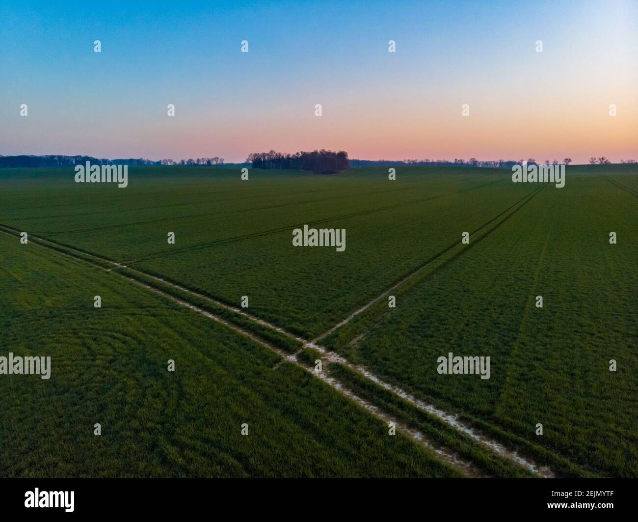 Aerial drone view to long paths between huge fields at sunny morning ...