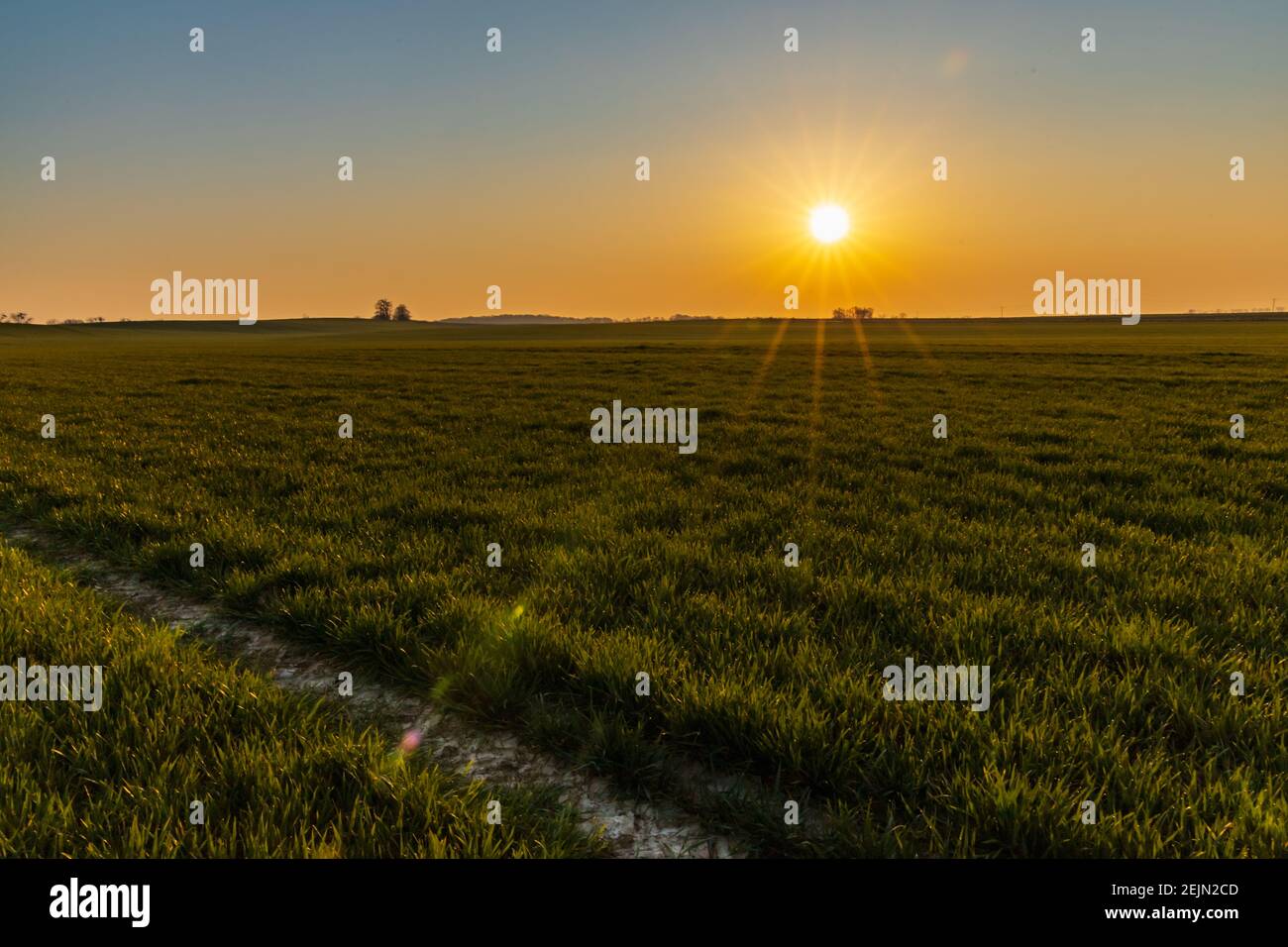 Beautiful sunrise at morning over huge green fields Stock Photo - Alamy