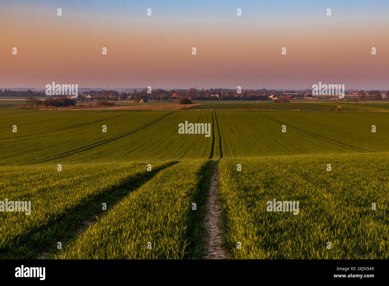 Beautiful sunrise at morning over huge green fields Stock Photo - Alamy