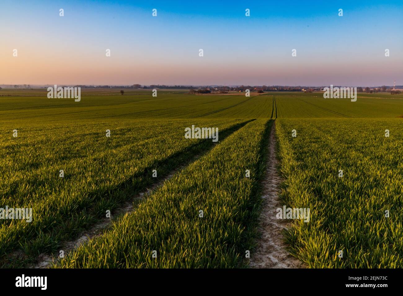 Beautiful sunrise at morning over huge green fields Stock Photo - Alamy