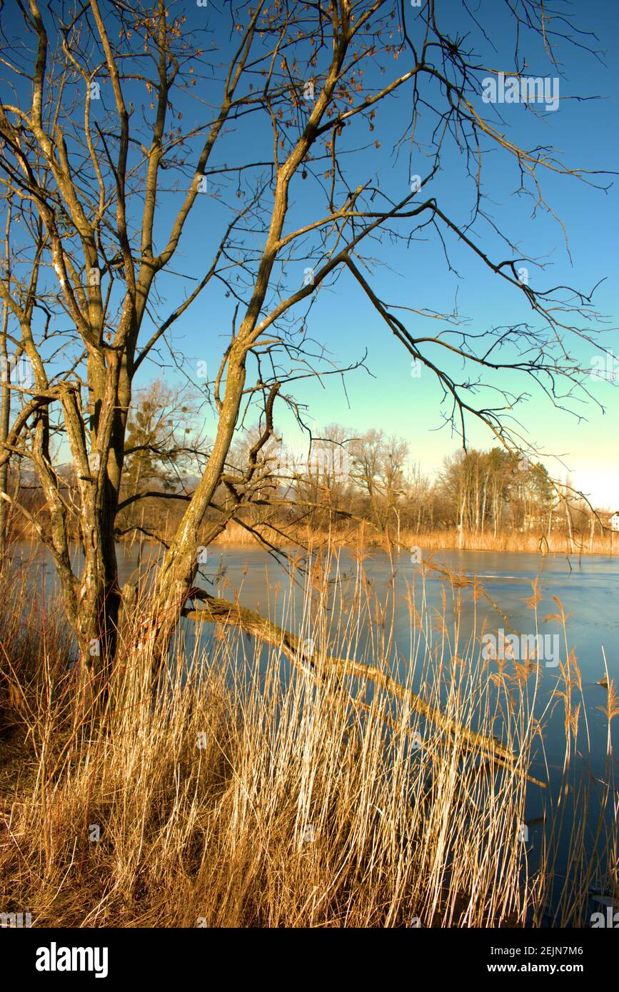 Incredible natural scenery at a pretty lake in Oberriet in Switzerland ...
