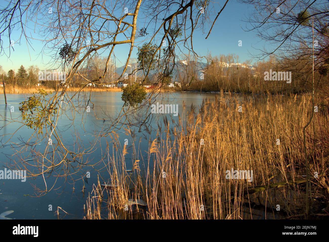 Incredible natural scenery at a pretty lake in Oberriet in Switzerland ...
