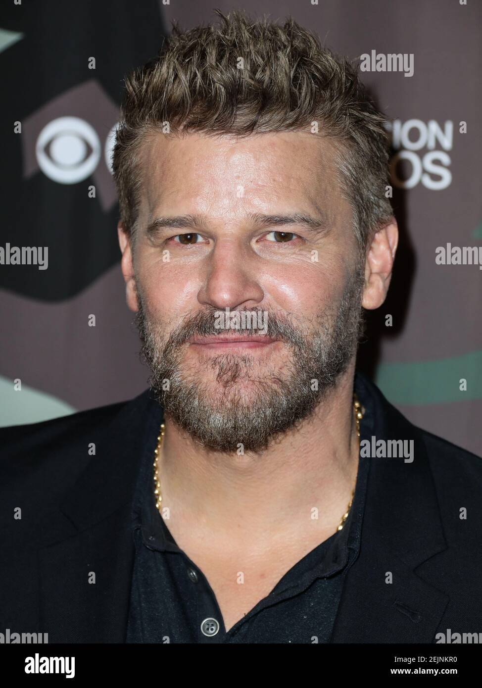 HOLLYWOOD, LOS ANGELES, CALIFORNIA, USA - FEBRUARY 25: Actor David ...