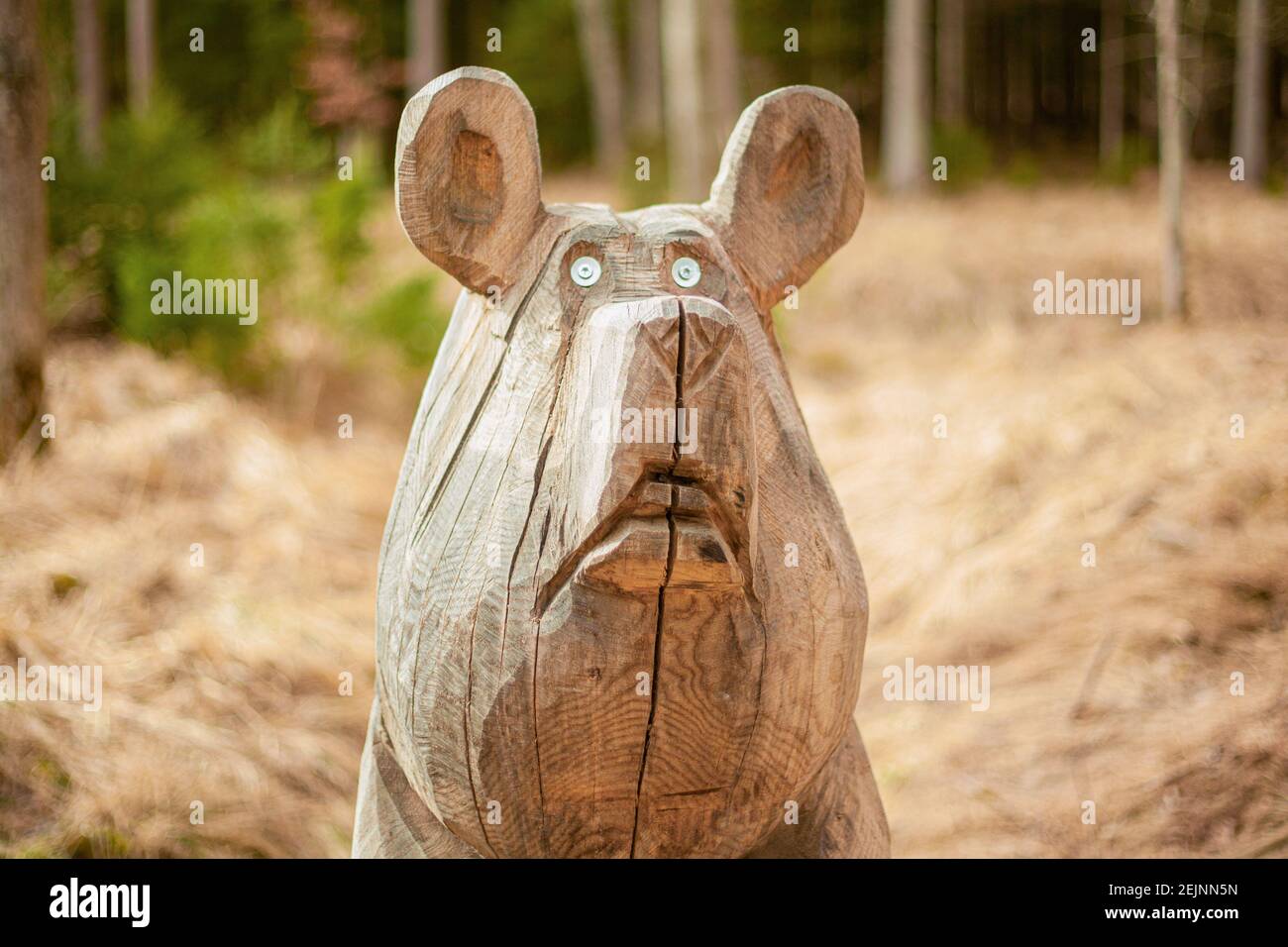 Chainsaw Wood Art Carved Animal Bear in a Pine Wood Forest with many ...