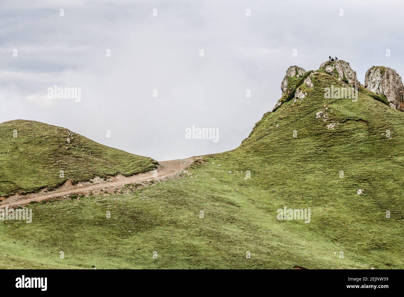 Small grassy areas hi-res stock photography and images - Alamy