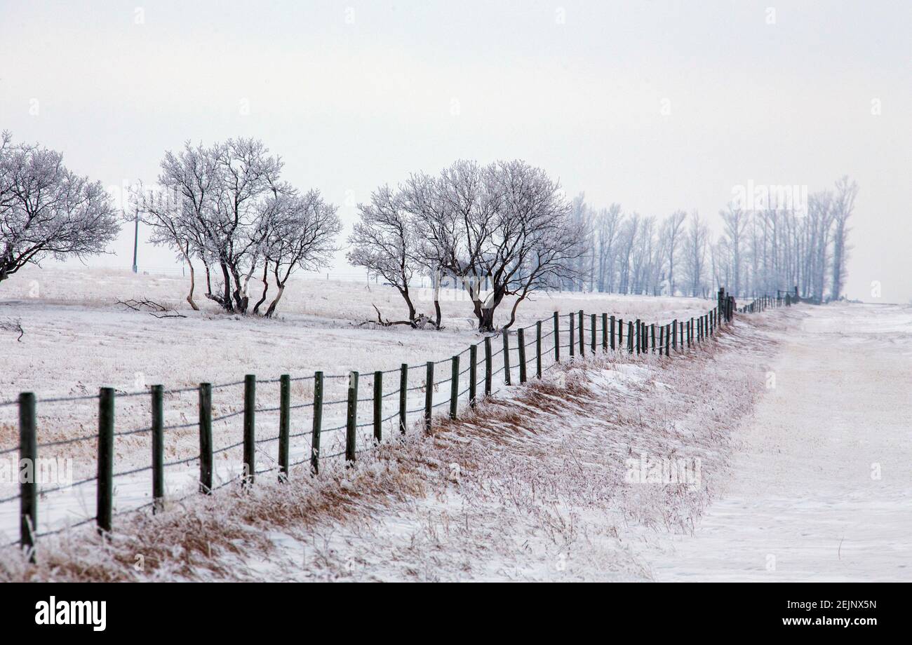 Saskatchewan plains winter extreme cold prairie scenic Stock Photo - Alamy