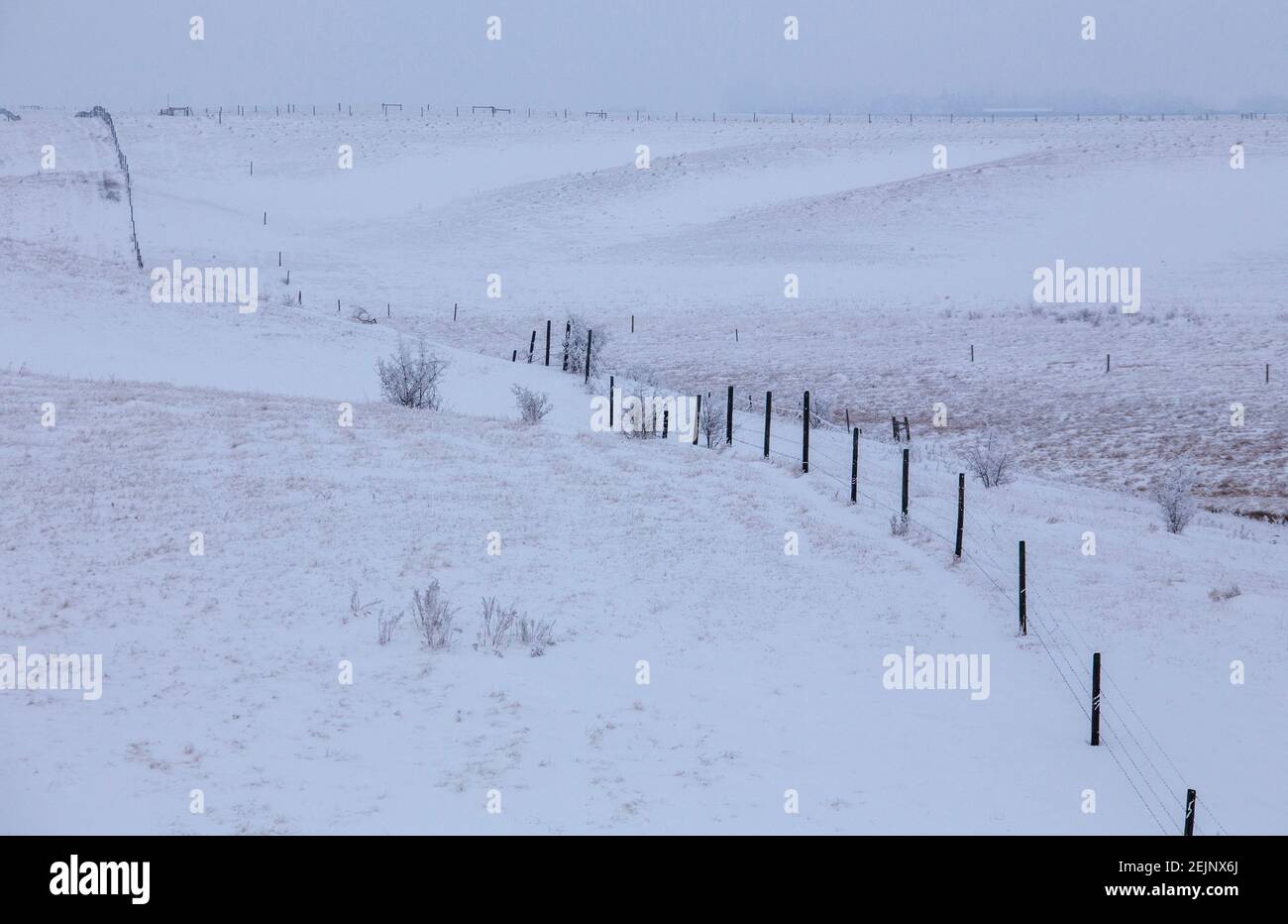 Saskatchewan plains winter extreme cold prairie scenic Stock Photo - Alamy