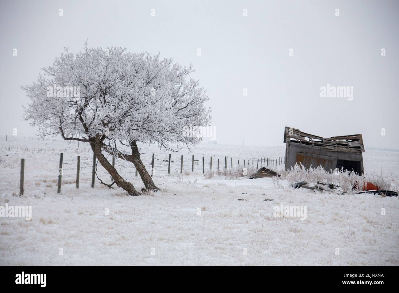 Boundless plains hi-res stock photography and images - Alamy