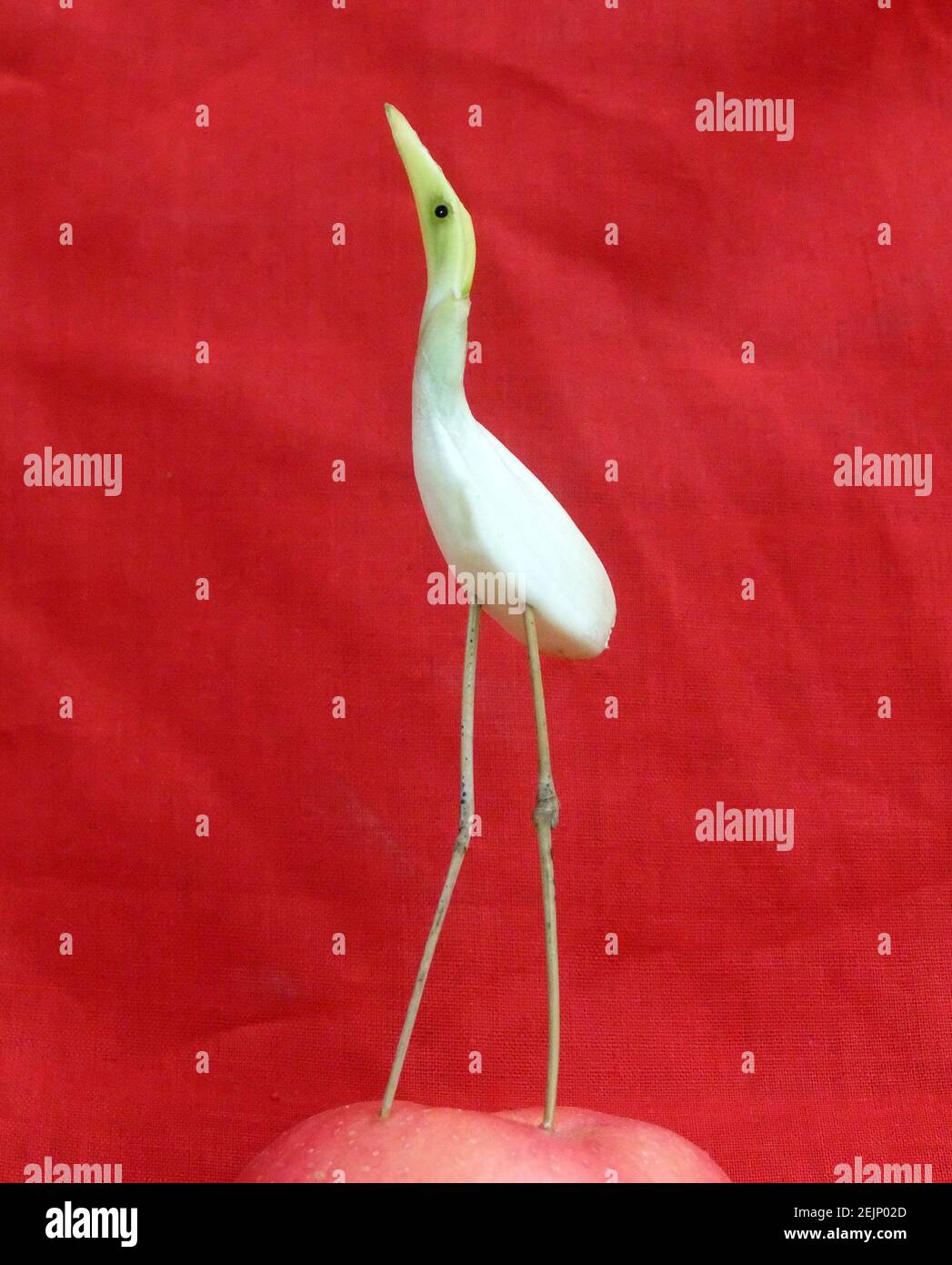 With the help of common vegetables and other stuff, germinating garlics ...