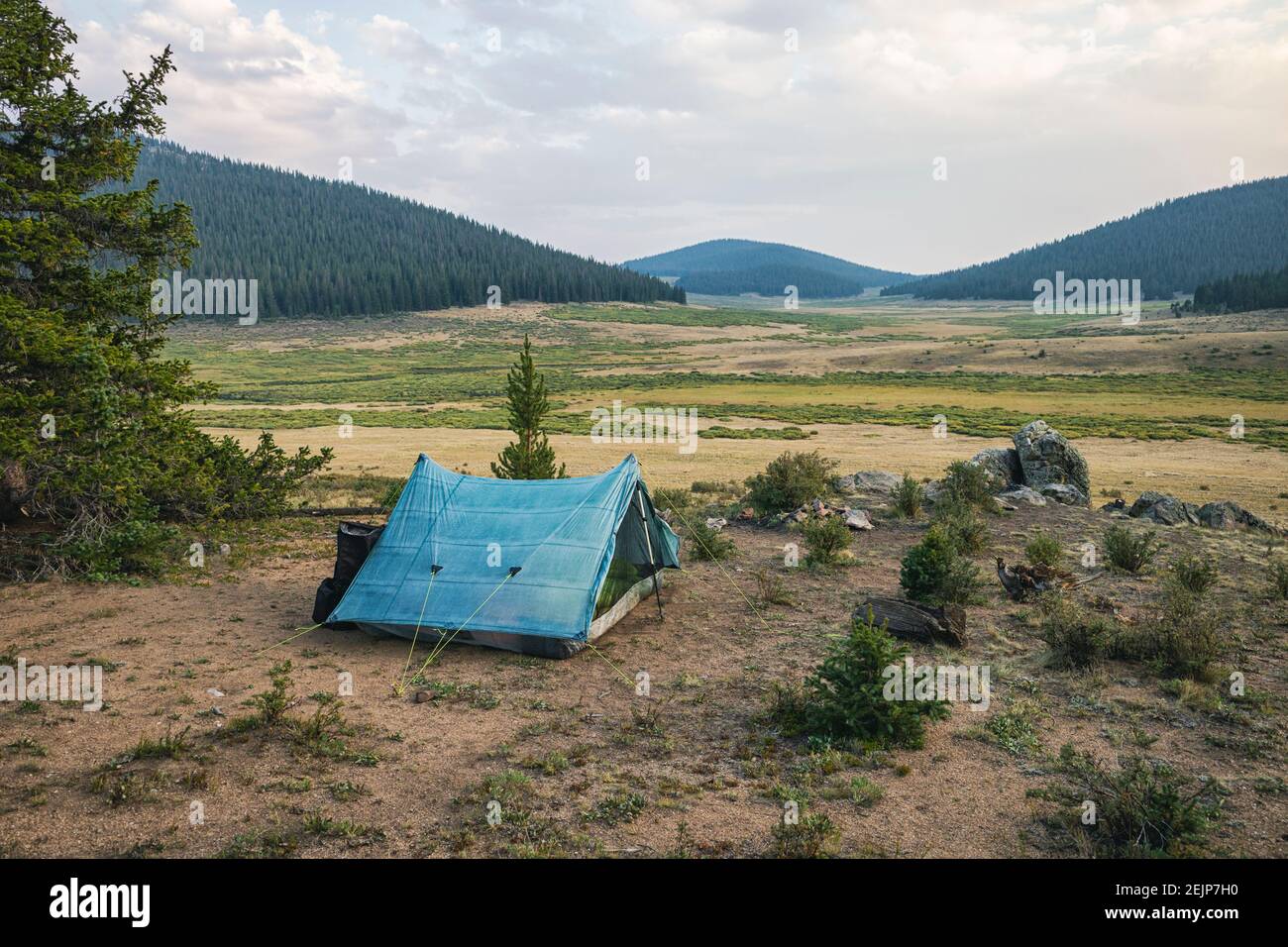 Buffalo in camping hi-res stock photography and images - Alamy