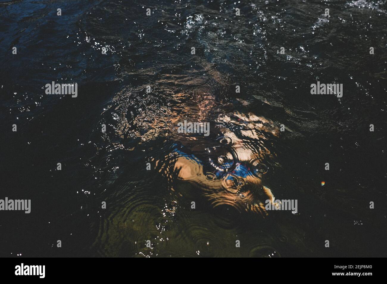 Blurred Figure Under the Surface with Ripples and Bubbles Stock Photo ...