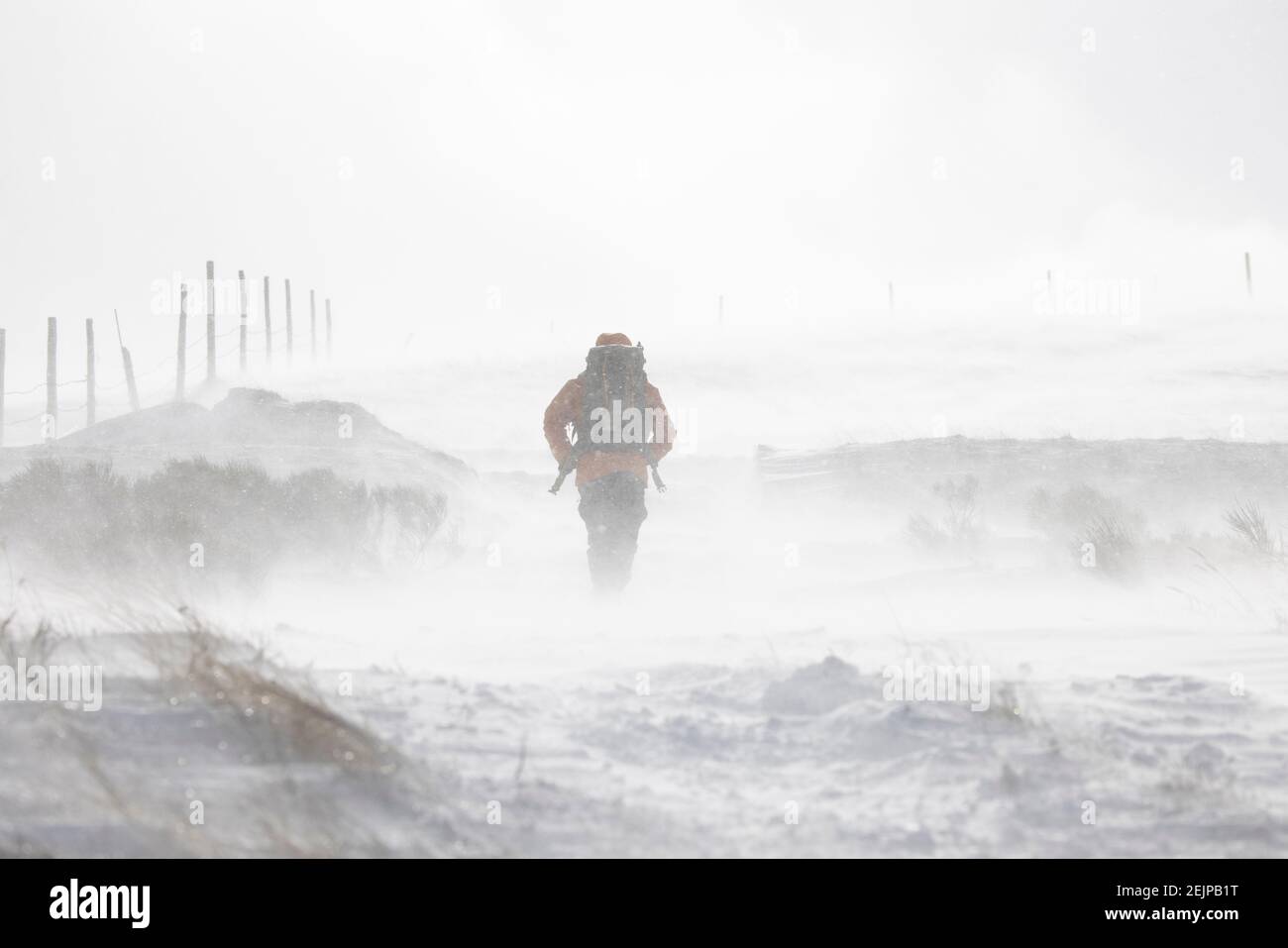Freezing person snowstorm hi-res stock photography and images - Alamy
