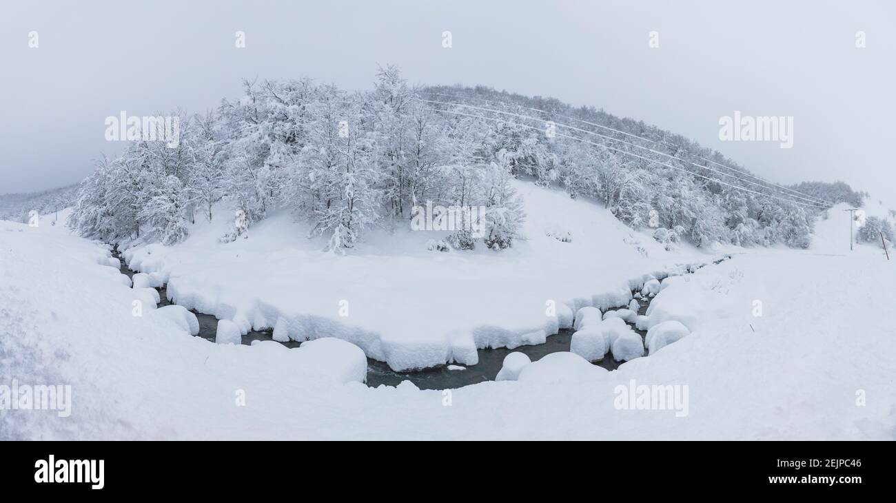 Fully snow covered winter forest hi-res stock photography and images ...