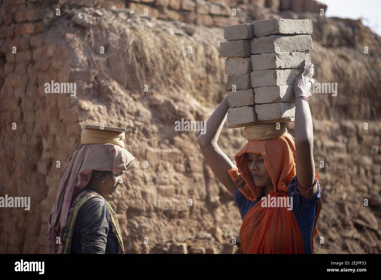 Labourer carrying raw bricks at the brick factory. Labourers from ...