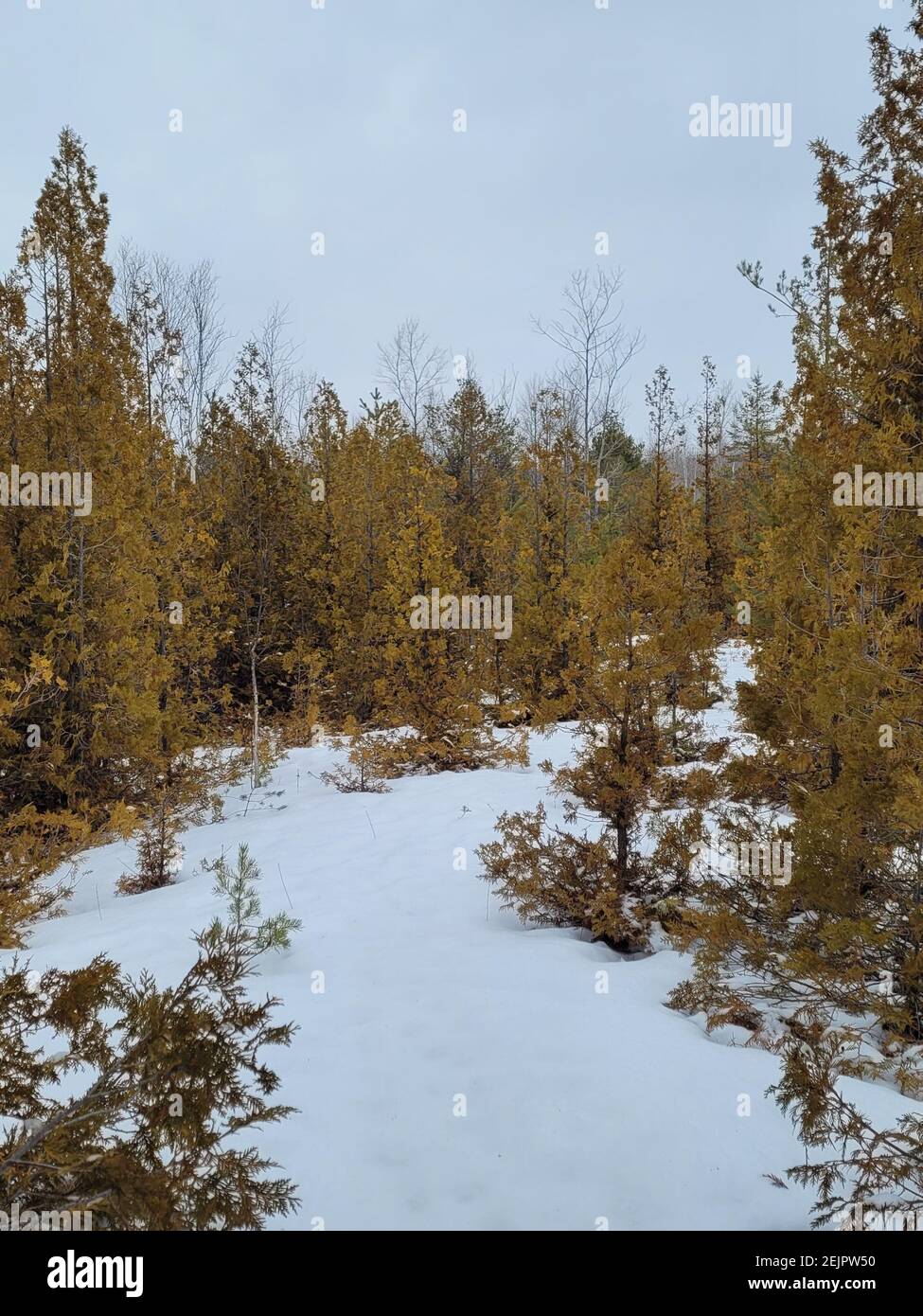 Whitby snow hi-res stock photography and images - Alamy