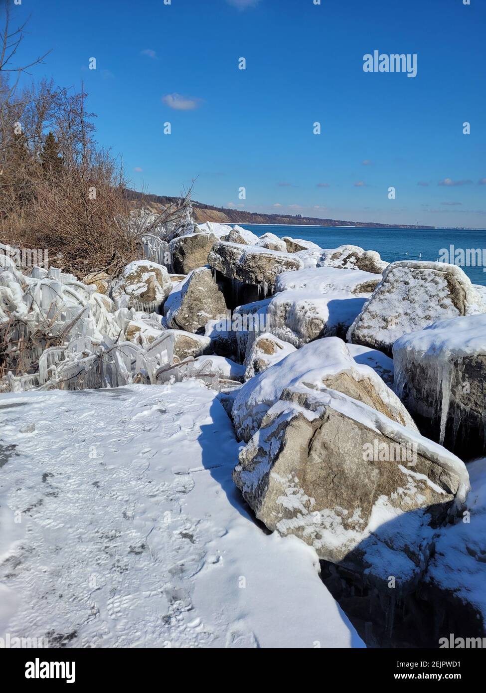 Ontario winter birds hi-res stock photography and images - Alamy