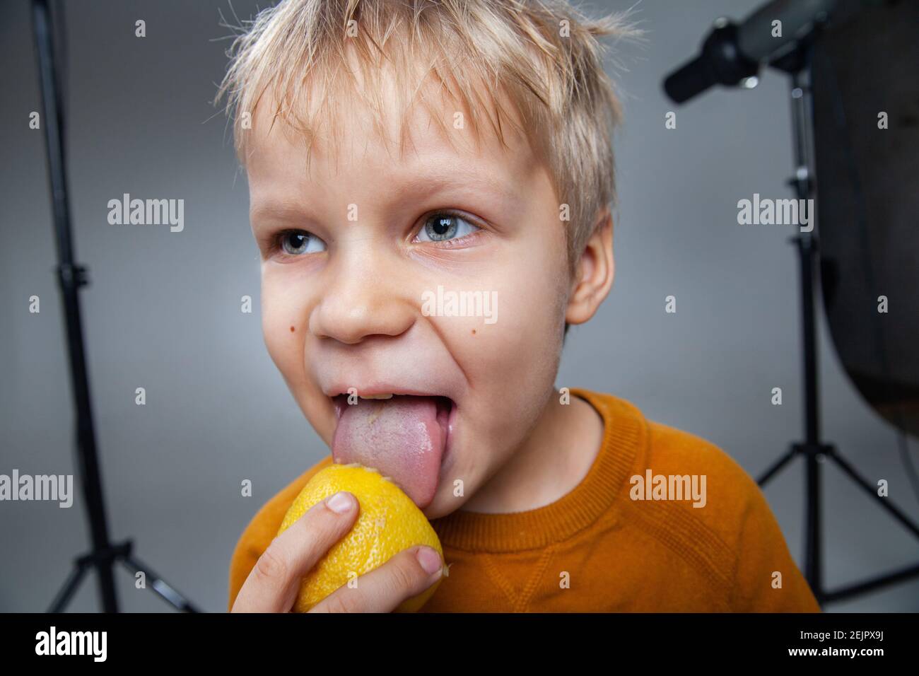 Adorable kid licking halved lemon in studio Stock Photo - Alamy