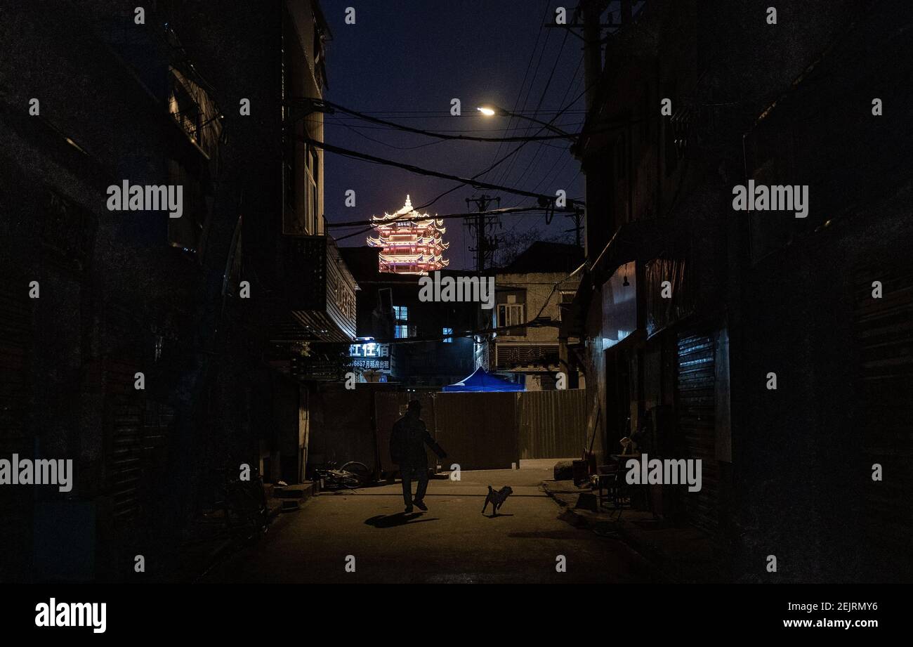 WUHAN, CHINA - MARCH 4, 2020 - A citizen walks his dog on the street in ...